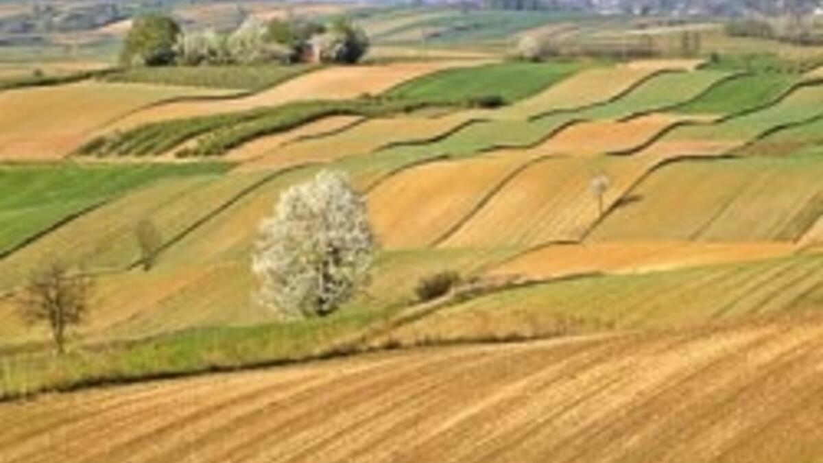 Ehil Mirasçılık Nedir ve Neyi Amaçlar?