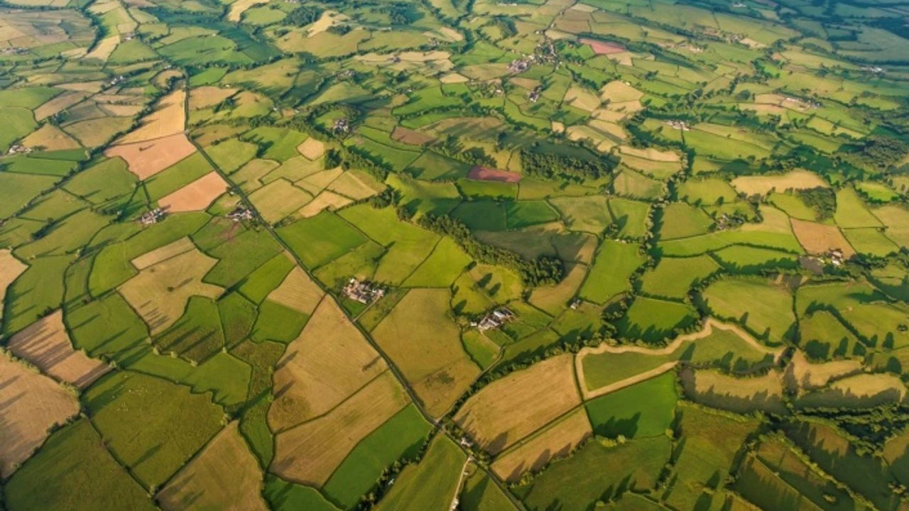 6537 SAYILI KANUN İLE 5403 SAYILI TOPRAK KORUMA VE ARAZİ KULLANIMI ...